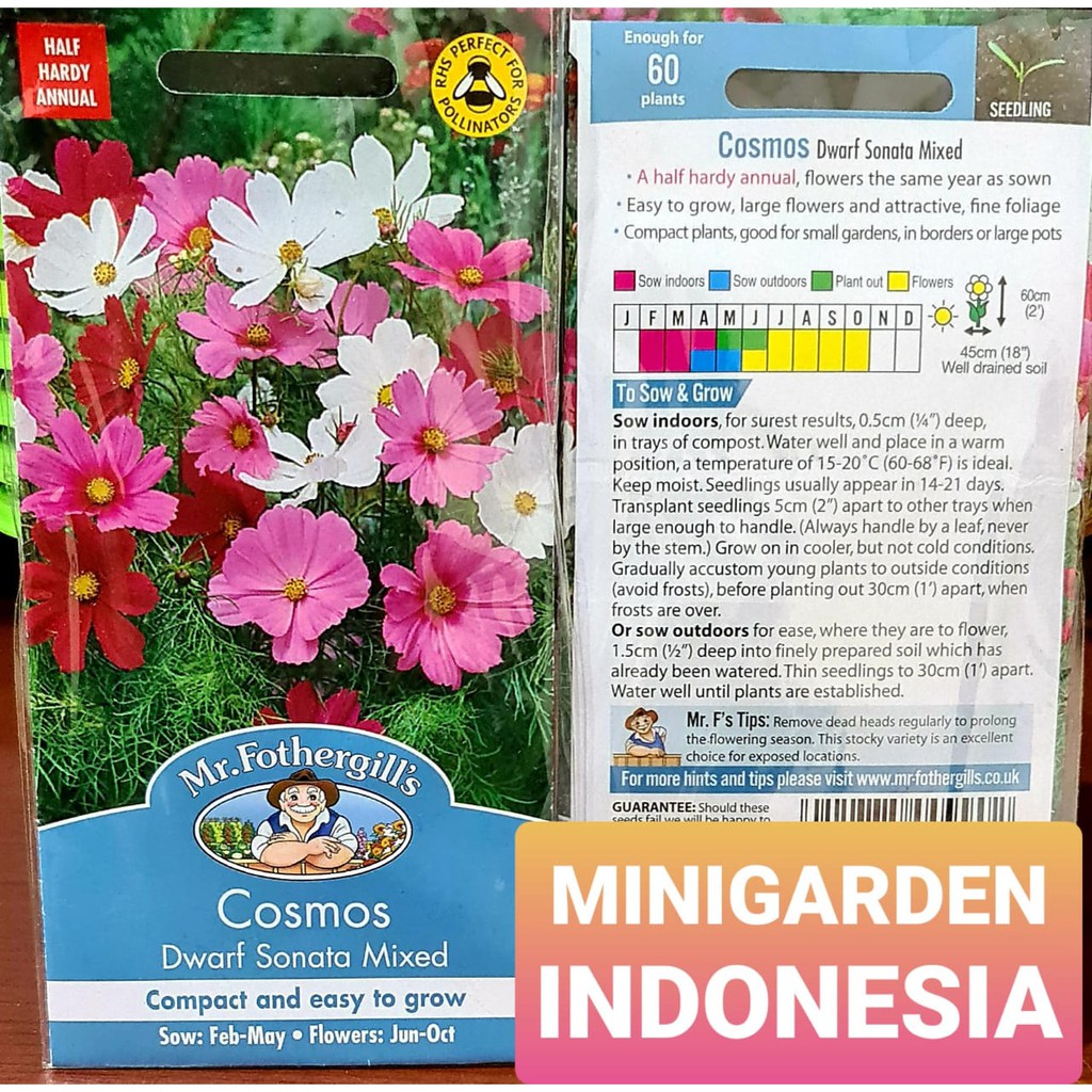 Jual Benih Bunga COSMOS DWARF SONATA MIXED PACK 60 BIJI F1 Mr ...
