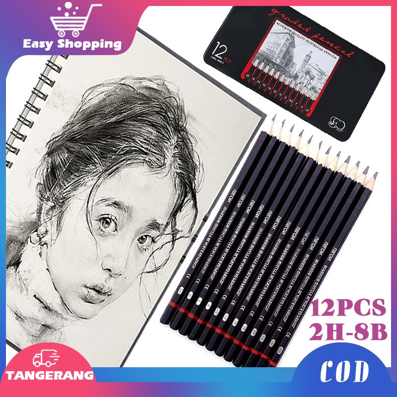 Jual 12pcs Pensil Gambar Sketsa Set Sketching Pencil Set Sketch Drawing Pencil Set Paiting ...