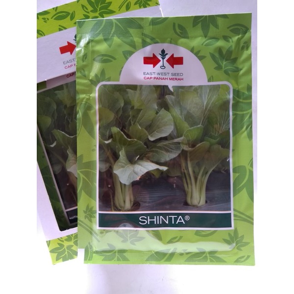 Jual Benih cesim SHINTA 25 gram, sawi hijau caisim Cap Panah Merah ...