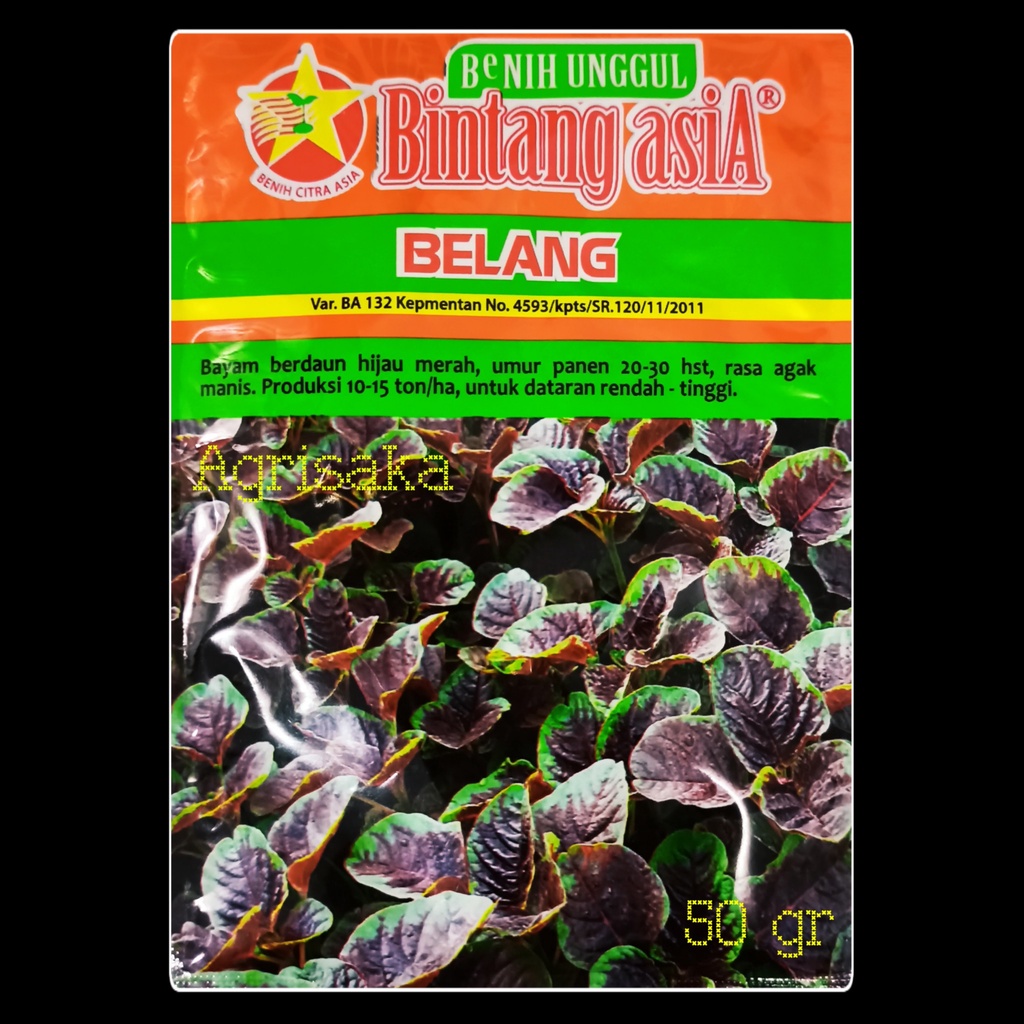 Jual Benih Bayam BELANG 50 Gram - Bintang asiA | Shopee Indonesia