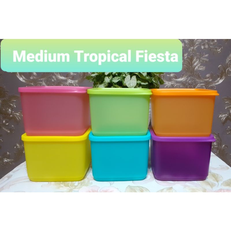 Jual Medium Tropical fiesta (1) Tupperware | Shopee Indonesia