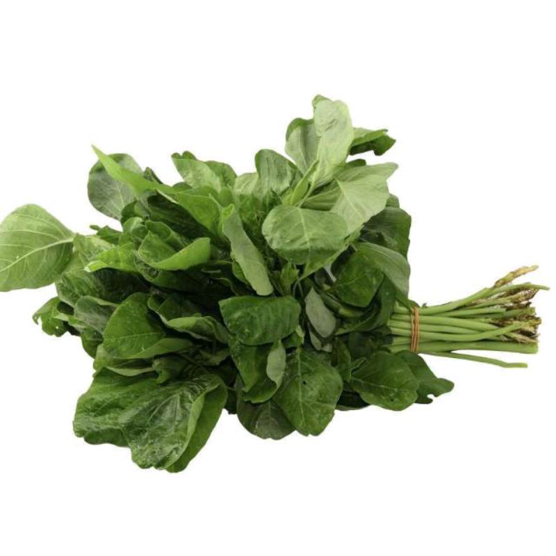 Jual BAYAM HIJAU FRESH | Shopee Indonesia