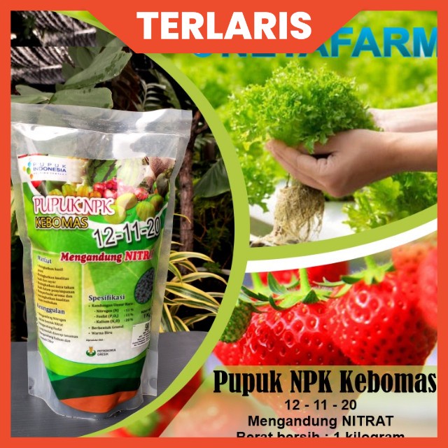 Jual Pupuk PETRO pertanian tanaman NPK kebomas 12 - 11 - 20 1KG 1 KG ...