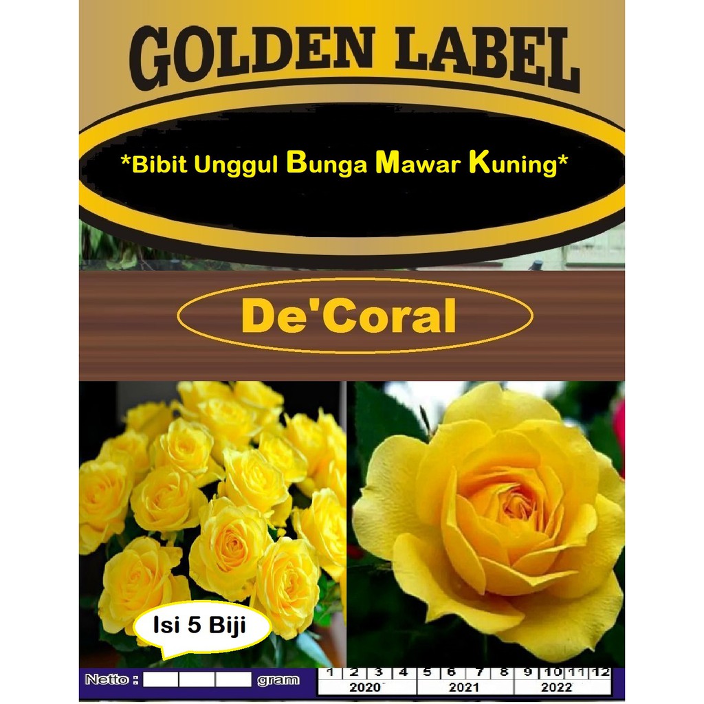 Jual Bibit Unggul Bunga Mawar Kuning | Benih Bunga Mawar Kuning ...
