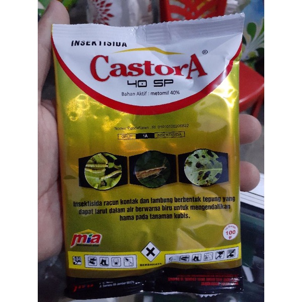 Jual castora 40SP | Shopee Indonesia