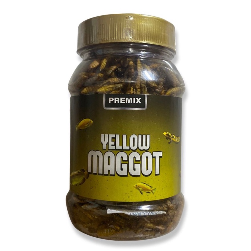 Jual Yellow Maggot with Beta-carotene PREMIX Pakan Ikan Predator ...