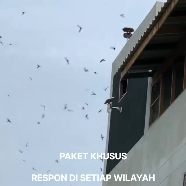 Jual Suara Panggil Burung Walet Terbaik Luar Dalam | Shopee Indonesia