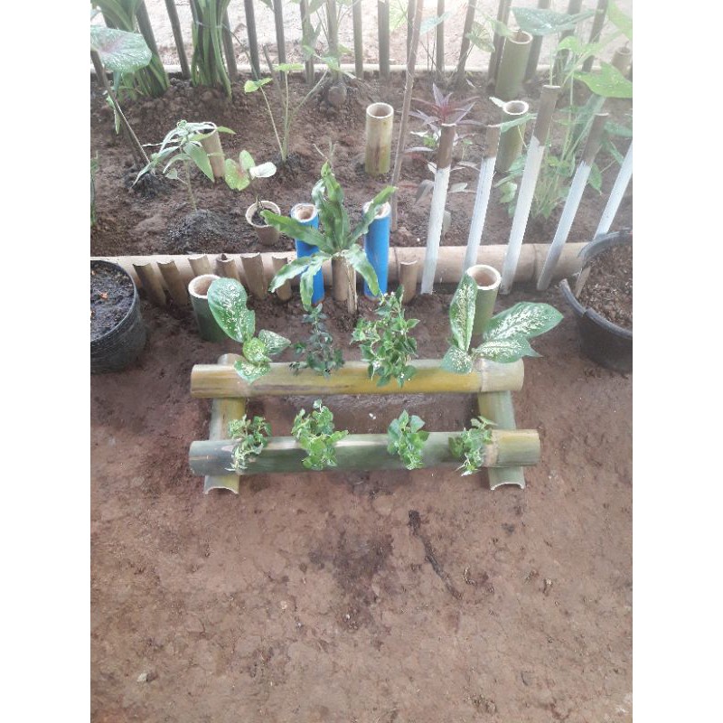 Jual Pot Bambu (Hydroponik) 1 Pasang | Shopee Indonesia