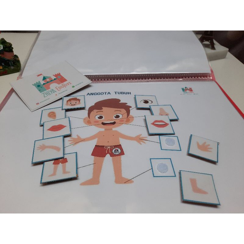 Jual worksheet my body/worksheet velcro mengenal anggota tubuh untuk ...