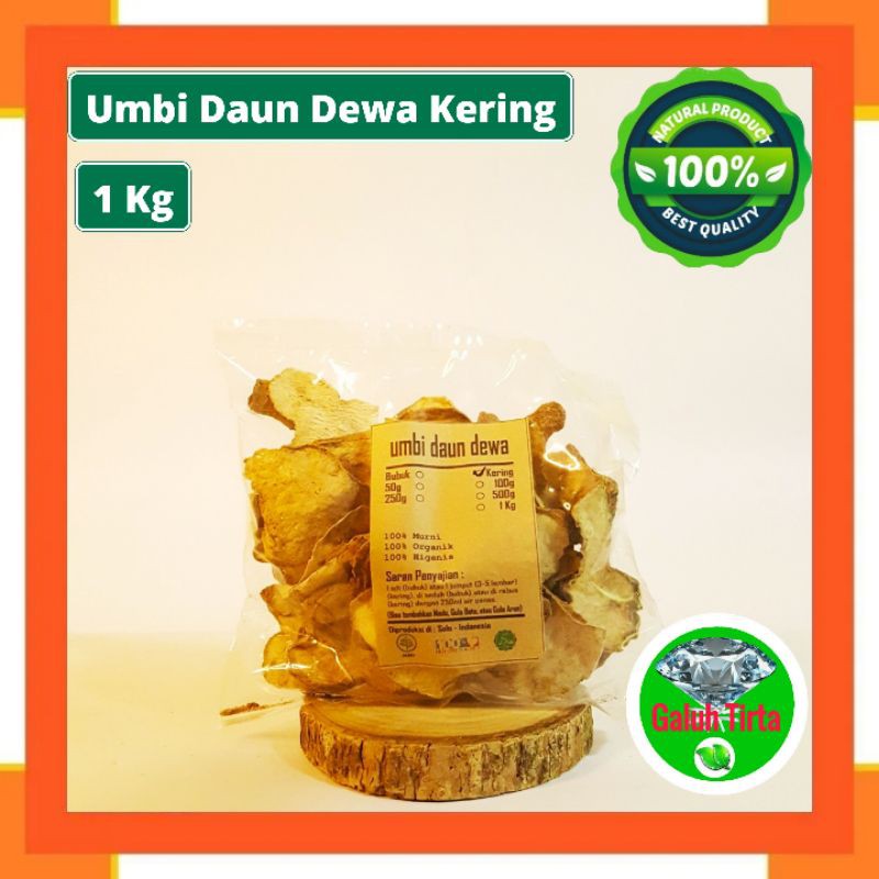 Jual UMBI DAUN DEWA NGOKILO SAMBUNG NYAWA KERING HERBAL DIABETES STROKE ...