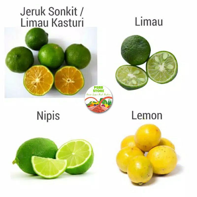 Jual PASAR GUBENG - Jeruk Nipis / jeruk pecel / jeruk limau / Lemon ...