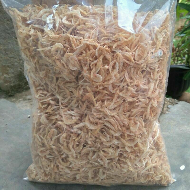 Jual Udang rebon kering tawar untuk pakan ikan 250 gram | Shopee Indonesia