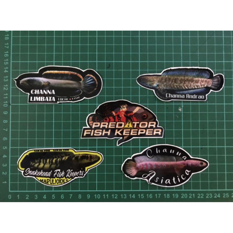 Jual STIKER MINI AQUARIUM IKAN PREDATOR 01 | Shopee Indonesia