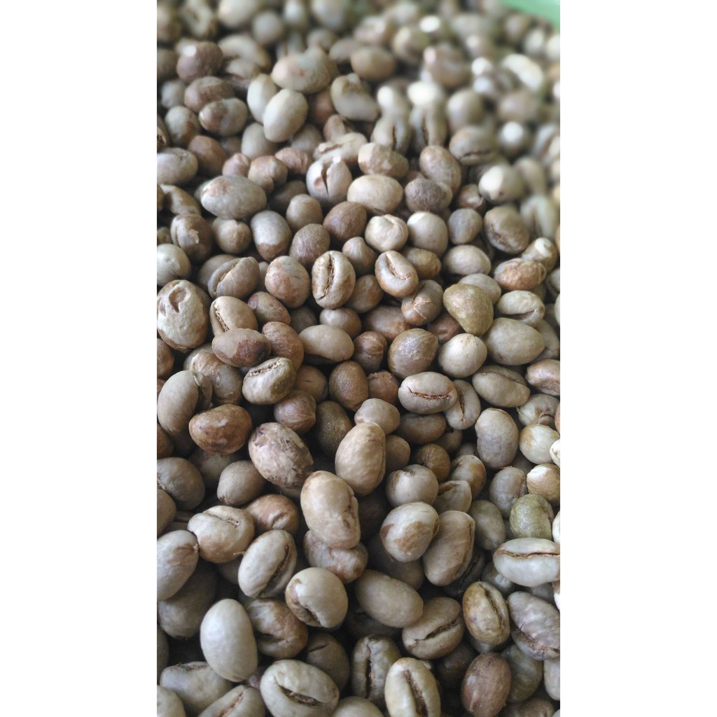 Jual Green Beans Kopi Lanang / Peaberry Coffee Robusta 1kg | Shopee ...