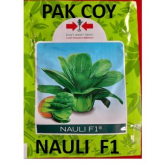 Jual Bibit benih Packcoy Nauli 10 gram, Benih Panah Merah | Shopee ...