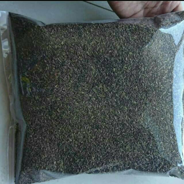 Jual BENIH BIBIT WORTEL VARIATES LOKAL CIPANAS UNGGULAN 250 gram ...