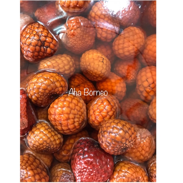 Jual Atapson Kulit 300 gram / Asam Paya / Asam Maram Khas Kalimantan ...