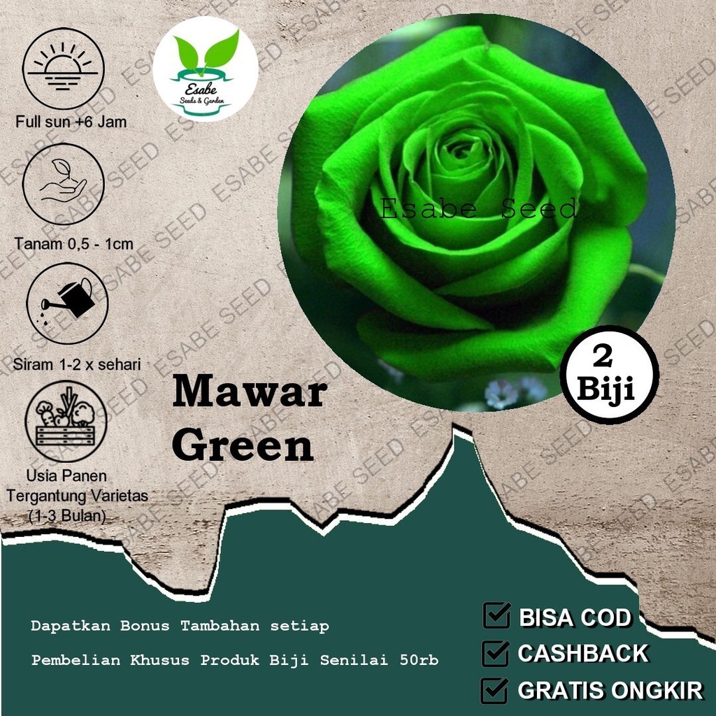 Jual Benih Biji Mawar Hijau Green Rose | Shopee Indonesia