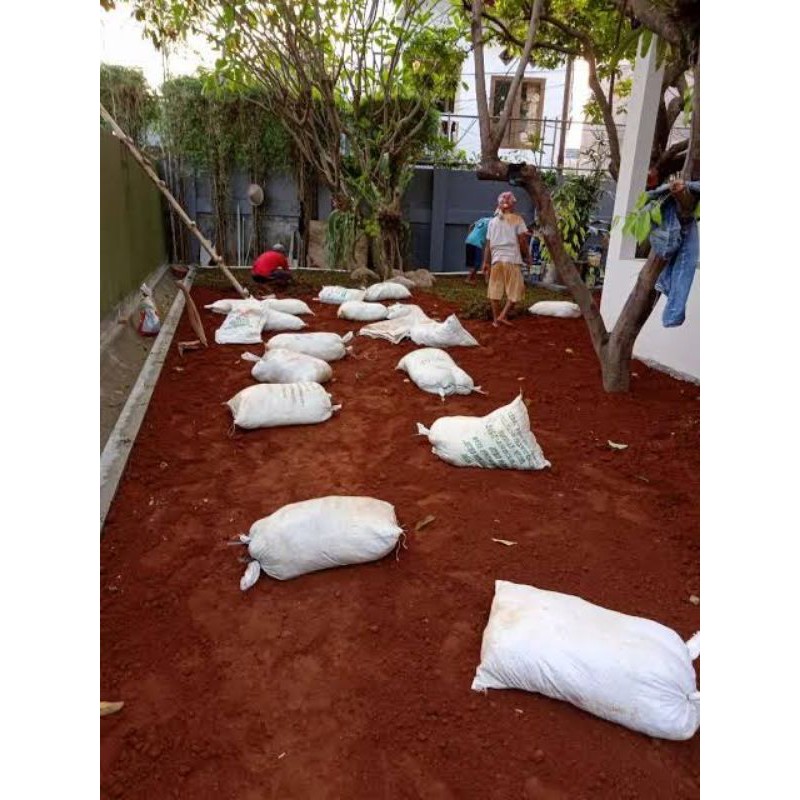 Jual tukang pasang rumput taman / taman rumput / tanam rumput taman ...