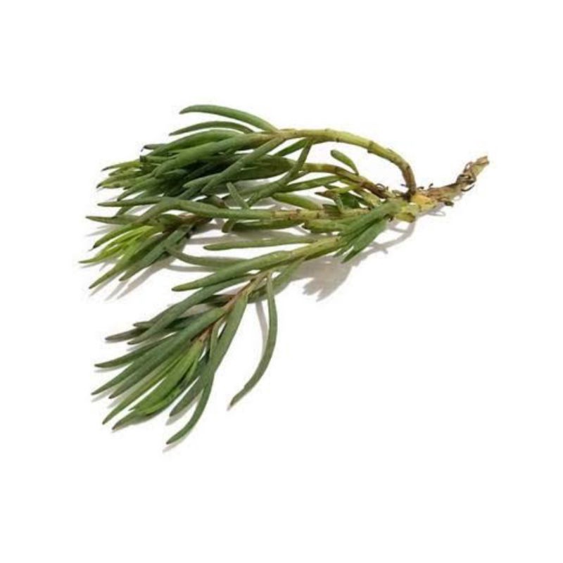 Jual Sayur alur / alor per kg | Shopee Indonesia