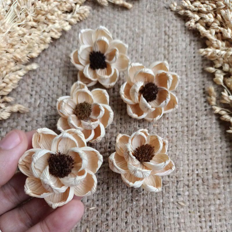 Jual Rustic Flower Suplly- bunga klobot jagung teratai mini diameter ...