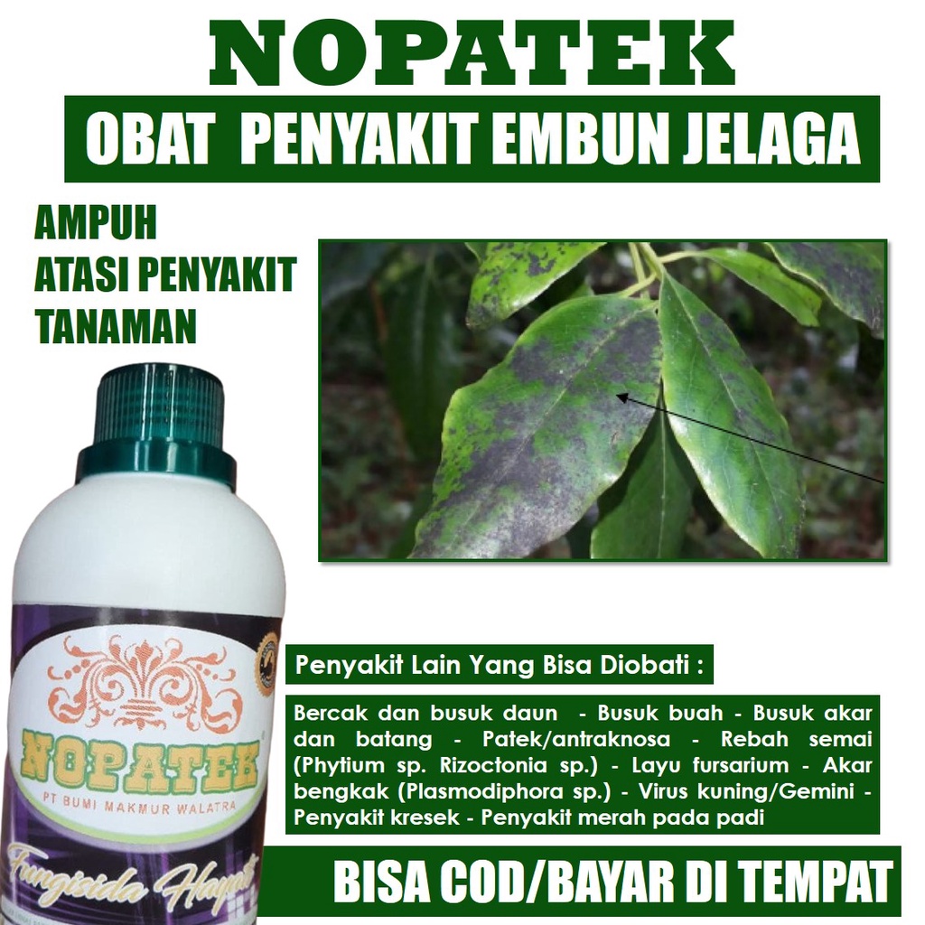 Jual OBAT HAMA PENYAKIT EMBUN JELAGA DAUN MANGGA, JERUK, PADI DAN ...
