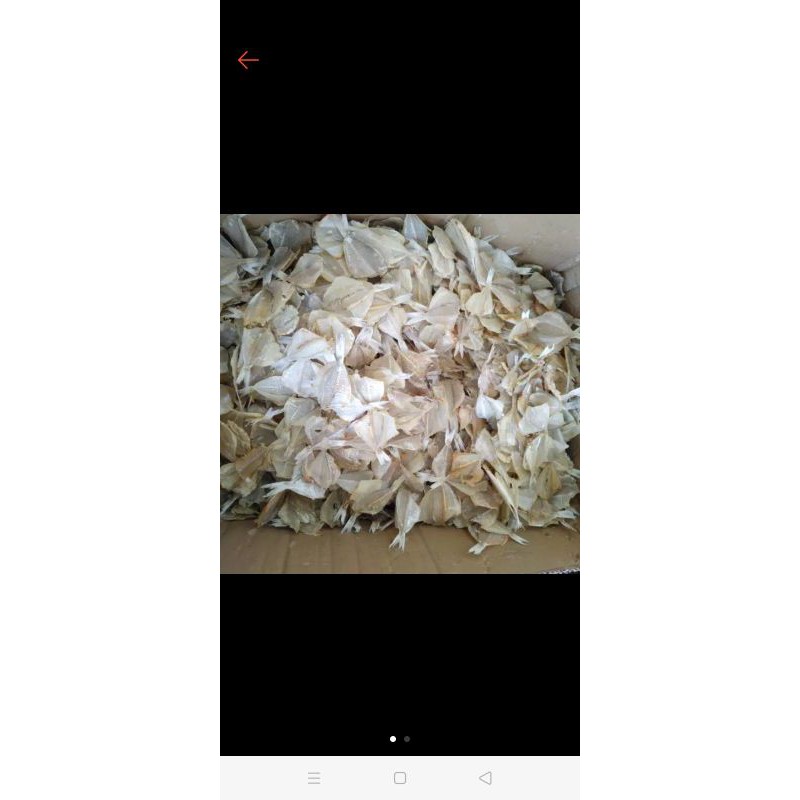 Jual IKAN ASIN PAKANG TIPIS/PAKANG TAWAR/KERUPUK 500gram | Shopee Indonesia