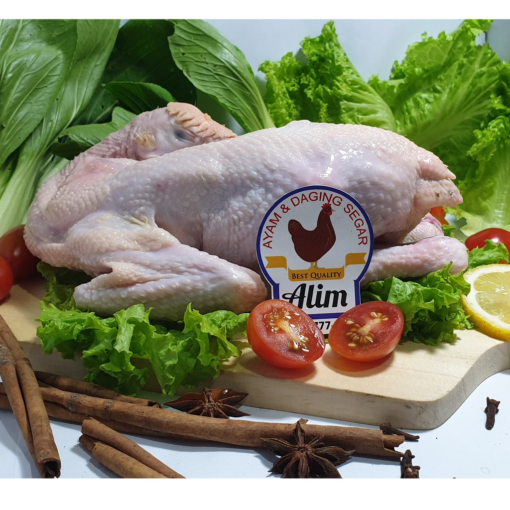 Jual 56. Ayam Kampung Segar (Fresh Chicken Village) _ 900-1000 gram ...