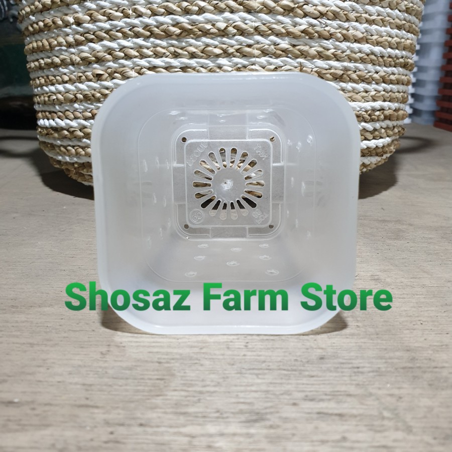 Jual (LUSINAN 12 BH) Pot Kotak NKT 7 Jouss Bening Transparan Berlubang ...