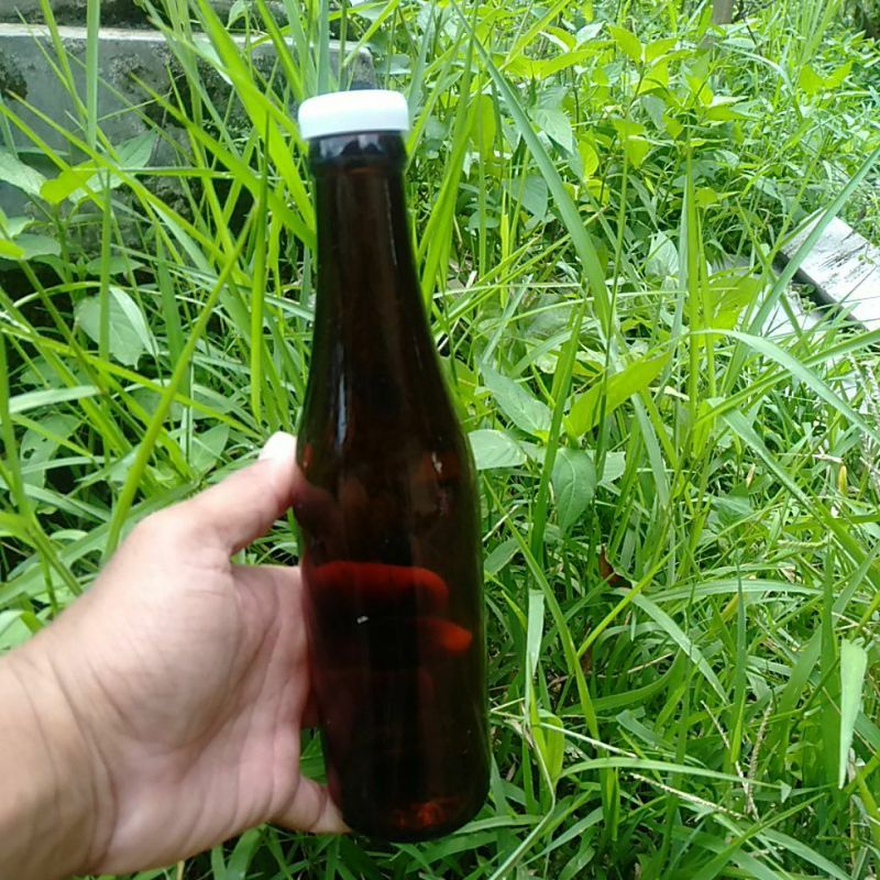 Jual Botol kaca coklat 350ml | Botol limun | Shopee Indonesia Jual Botol kaca coklat 350ml | Botol limun | Shopee Indonesia