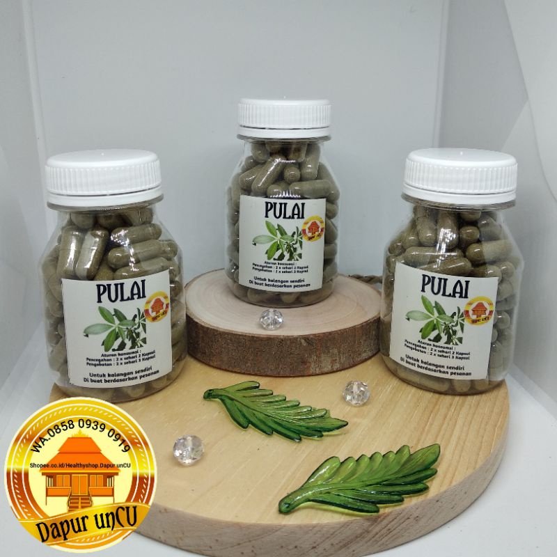 Jual Daun PULAI.100 kapsul. ( di buat ketika ada pesanan, sehingga ...