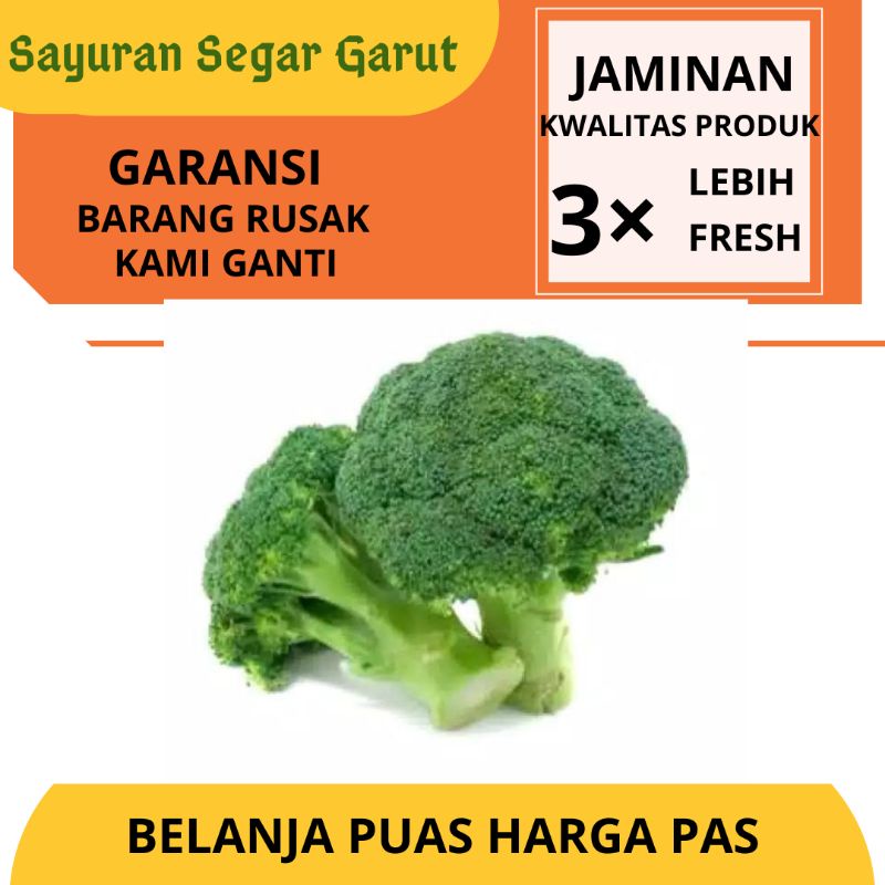 Jual Sayur Brokoli Hijau Segar Murah 500gr by Sayuran Segar Garut ...