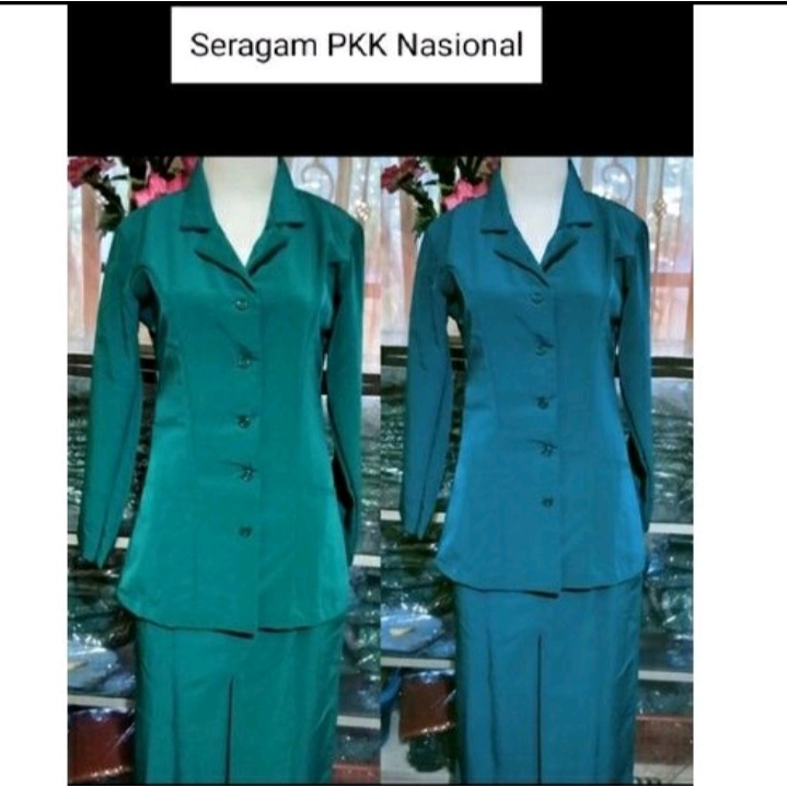 Jual seragam pkk nasional hijau dan biru | Shopee Indonesia