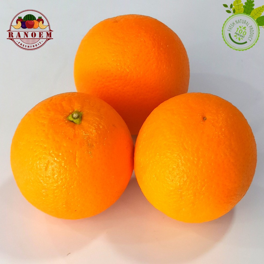Jual Jeruk Sunkist / Jeruk Navel Impor Australia Segar Ranoem / 1 Kg | Shopee Indonesia