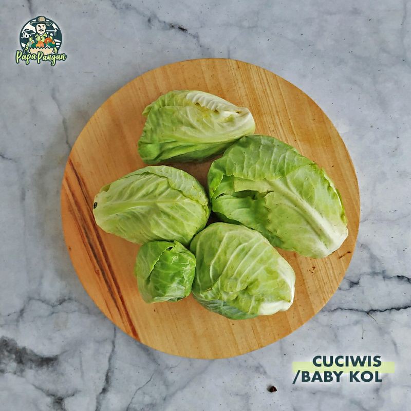 Jual CUCIWIS FRESH Papapangan - 250 gram | Shopee Indonesia