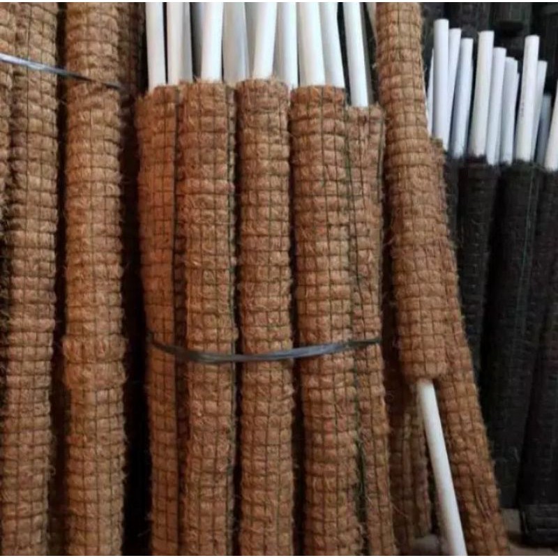 Jual Turus Penyangga Tanaman - Turus Tanaman Rambat 50 cm | Shopee ...