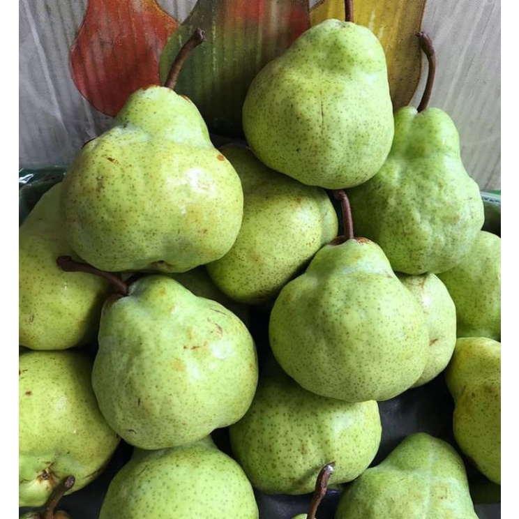 Jual BUAH PIR HIJAU/ PEAR PACKHAM SEGAR | Shopee Indonesia