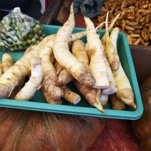 Jual Sagu buah sagu | Shopee Indonesia