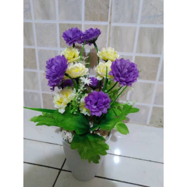 Jual Bunga seruni meja | Shopee Indonesia