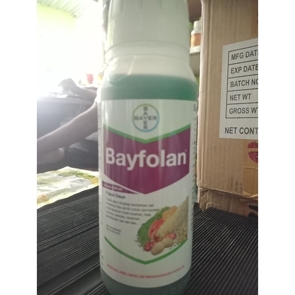 Jual BAYFOLAN 500ml | Shopee Indonesia