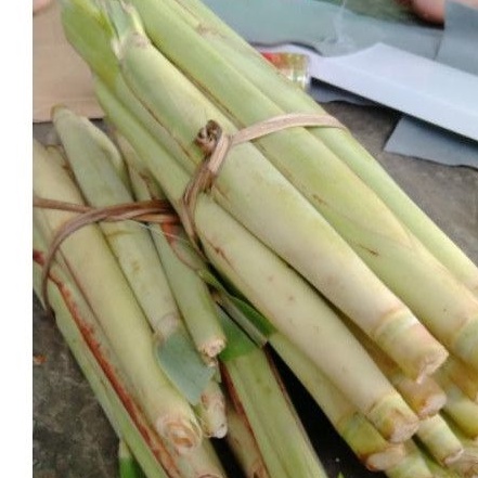 Jual telur tebu//turubuk//trubuk | Shopee Indonesia