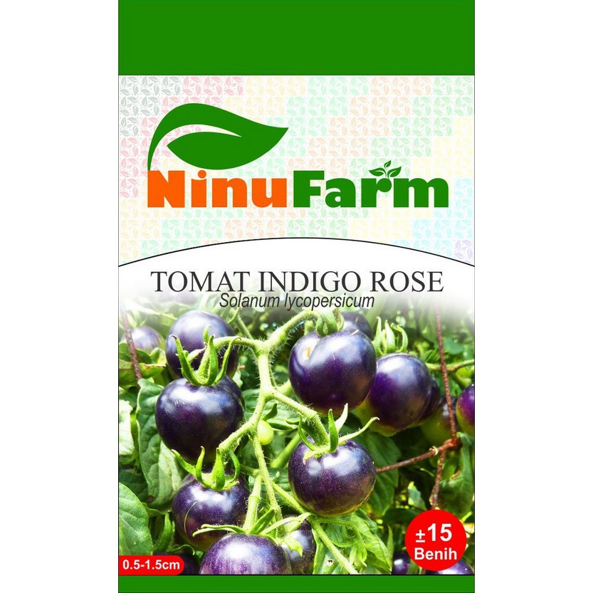 Jual Benih Bibit Buah Tomat Ungu/Tomat Indigo Rose Ninufarm (13 Butir ...