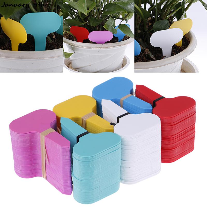 Jual 95 pcs T Type Label Penanda Tanaman Name Tag Penanda Tancap Semai Benih / Garden Marker ...
