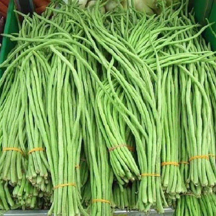 Jual Sayur kacang panjang 1 ikat Fresh | Shopee Indonesia