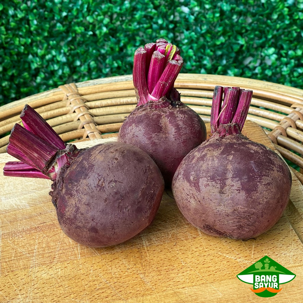 Jual Buah bit / beet root 500 gr | Shopee Indonesia