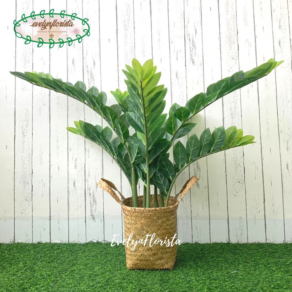 Jual Pohon Daun Dollar Klasik T90 Latex Artificial Cover Pot Anyaman ...
