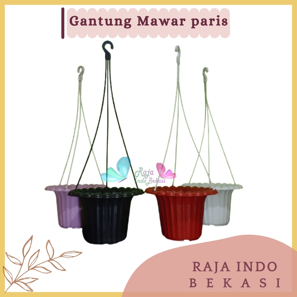 Jual RAJAINDOBEKASI Pot Gantung Mawar Paris 20 Cm Putih Hitam Coklat ...