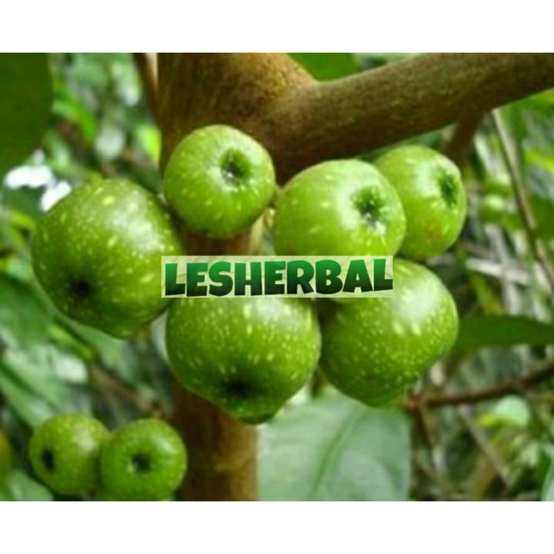 Jual buah loa atau buah ara segar 500gram | Shopee Indonesia