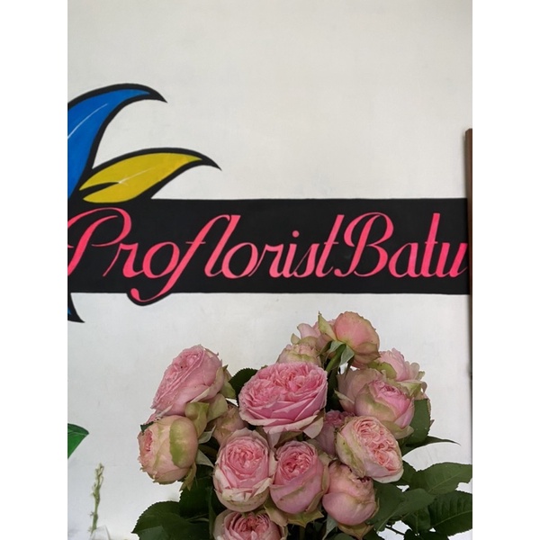 Jual Bunga mawar charmingpiano (isi 10 tangkai) | Shopee Indonesia