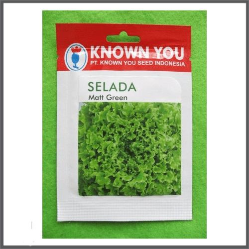 Jual Benih Bibit Selada Hijau Matt Green - 5 Gram - Known You Seed | Shopee Indonesia